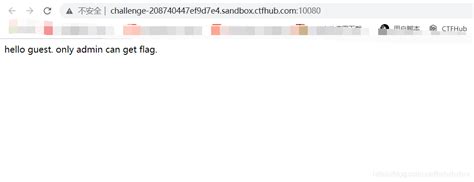 ctfhub技能树（全详细解析含进阶） csdn博客