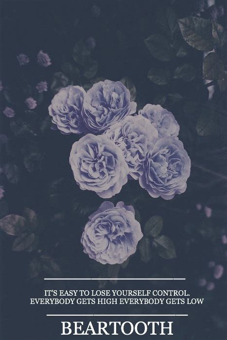 Beartooth Song Quotes Quotesgram