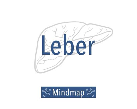 Liver Hepatitis Mind Map Medicine Pdf For Instant Download Etsy