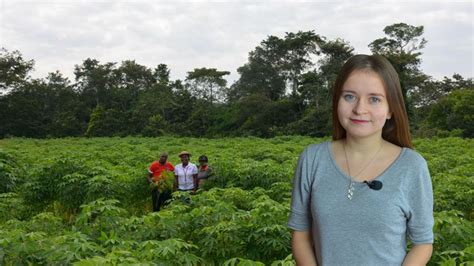 Не стоит недооценивать маниока Youtube