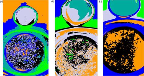 classification maps obtained from k means clustering algorithm