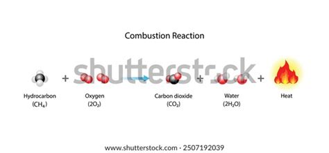 Combustion Reaction Chemical Reaction Hydrocarbon Oxygen Stock Vector