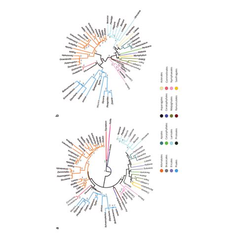 Global Patterns And Determinants Of Lake Macrophyte Taxonomic Functional And Phylogenetic Beta