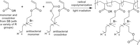 Schematic Representation Of The Incorporation Of Monomer And Download Scientific Diagram