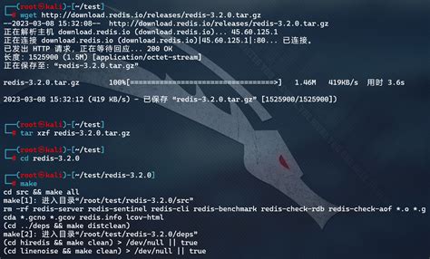 Redis安全攻防（专注渗透视角）lainwith Csdn博客