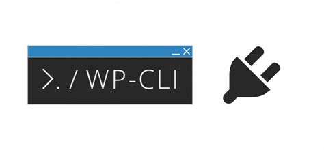 Using Wp Cli To Batch Autodelete Inactive Wordpress Plugins