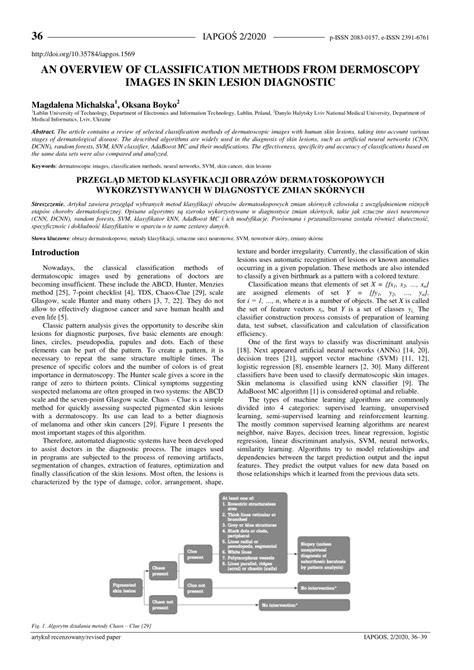 PDF AN OVERVIEW OF CLASSIFICATION METHODS FROM DERMOSCOPY IMAGES IN SKIN LESION DIAGNOSTIC