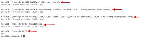 how to install etherpad with nginx and ssl on debian 11