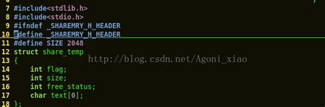 使用共享内存实现一个进程写文件，两个进程读文件一个进程写文件另一个进程读取 Csdn博客