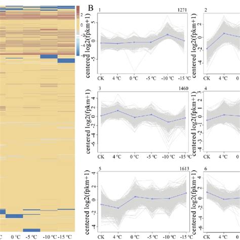 Clustering Analysis Of The Degs A Hierarchical Clustering Of The