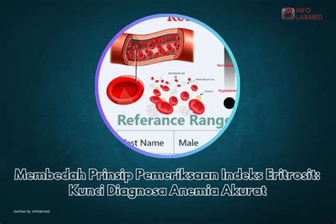 Membedah Prinsip Pemeriksaan Indeks Eritrosit Kunci Diagnosa Anemia Akurat