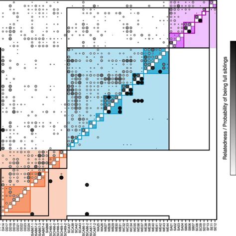 Site Layout And Bayesian Clustering Of Samples A Map Showing The
