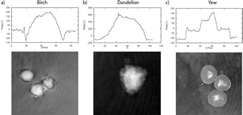 Figure 2 From Dhm Digital Holography Microscope For Imaging Cells Semantic Scholar