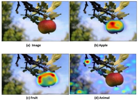 Sensors Free Full Text Cross Modal Object Detection Based On A