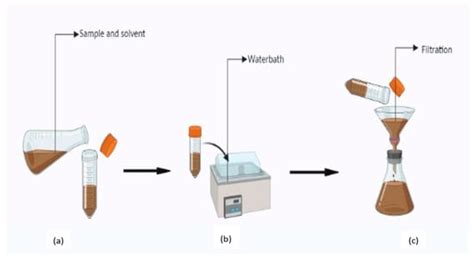 Major Phytochemicals Recent Advances In Health Benefits And Extraction