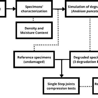 Experimental Campaign Workflow Download Scientific Diagram