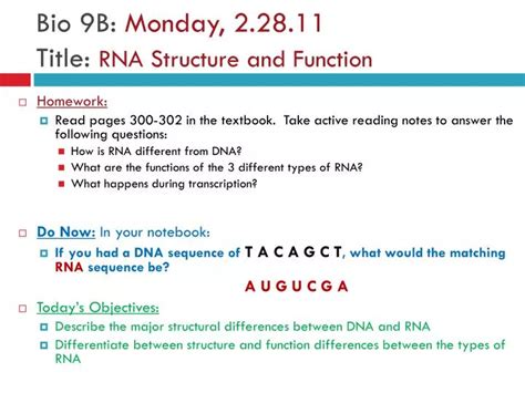 PPT Bio B Monday Title RNA Structure And Function