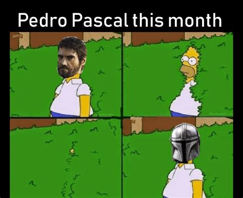 Its The Year Of Pedro Rmemes