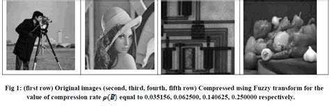 the comparative analysis of a fuzzy transform based image compression