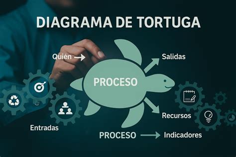 Diagrama De Tortuga Portada