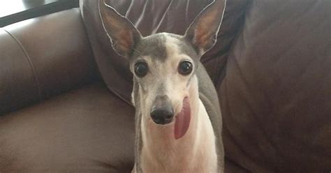 The Face That Says It All Derp Imgur