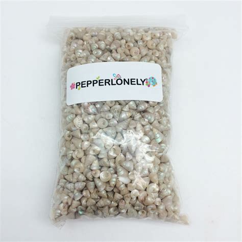 Pepperlonely Trochus Tiny Sea Shells 6 Oz Apprx 14 Inch 6 Trochus