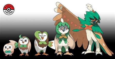 722 724 Rowlet Line By Inprogresspokemon Pokemon Réaliste Pokémon