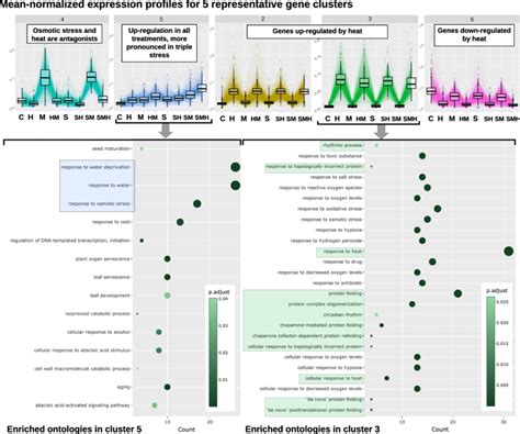 Clustering Of Combinatorial Rna Seq Data With Diane Clusters Of