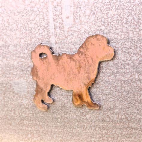 Cavachon Magnet