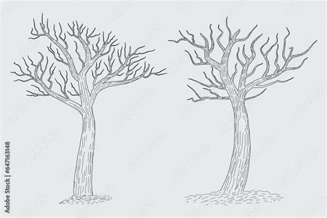 Hand Drawn Winter Bare Tree Sketch Vector Bare Trees Leafless Dead Old Dry No Leaves Pencil