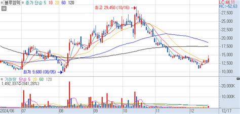 블루엠텍 주가 전망 핵심분석 결과 파악하기 241217