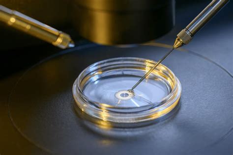 When Sex Is Divorced From Reproduction The Possibilities And Implications Jack Fisher S