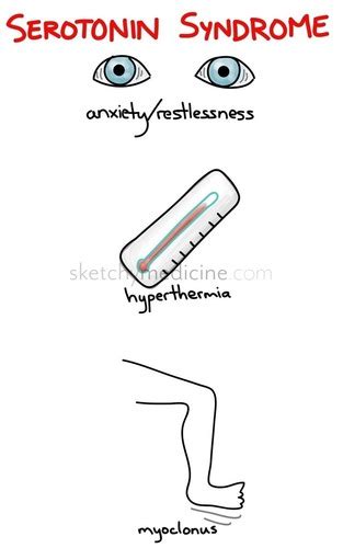 Nur 340 Mental Health Final Exam Flashcards Quizlet