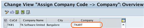 How To Assign Company Code To Company In SAP
