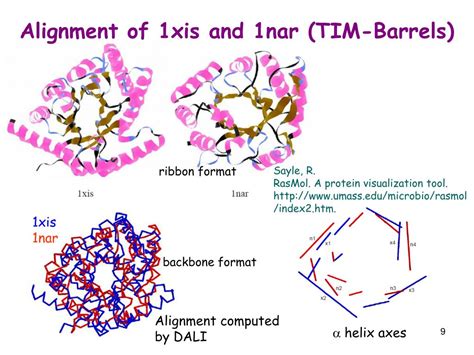ppt protein structure similarity powerpoint presentation free