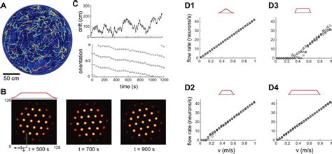 Boundary Conditions And Network Size Strongly Affect Fidelity Of Download Scientific Diagram