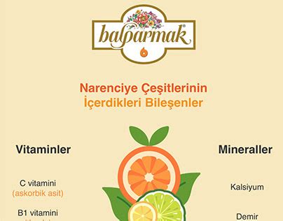 Balparmak Projects | Photos, videos, logos, illustrations and branding ...