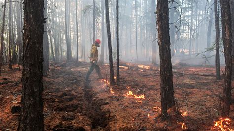 Our Burning Planet Why We Must Learn To Live With Fire Yale E