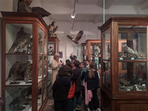 დამოუკიდებელი სკოლა მოძღვარი