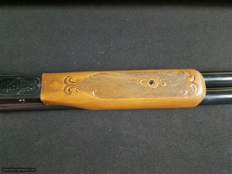 Daisy Model 21 Bb Gun Sold