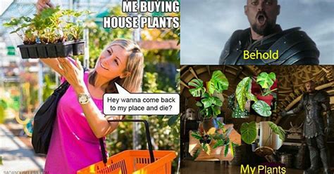 60 Plant Memes For You To Dig Through Ebaums World