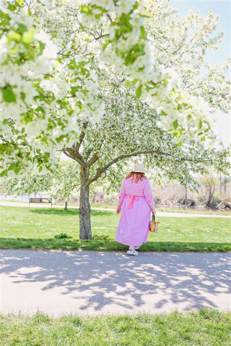 The Prettiest Plus Size Gingham Dress With Wonder And Whimsy