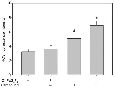 Apa Bar Graph Format Free Table Bar Chart Images