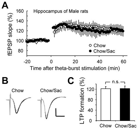 Effect Of Saccharin Intake On Ltp Induction In Hippocampal Schaffer Download Scientific Diagram