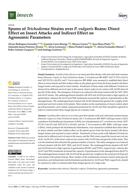 Pdf Spores Of Trichoderma Strains Over P Vulgaris Beans Direct