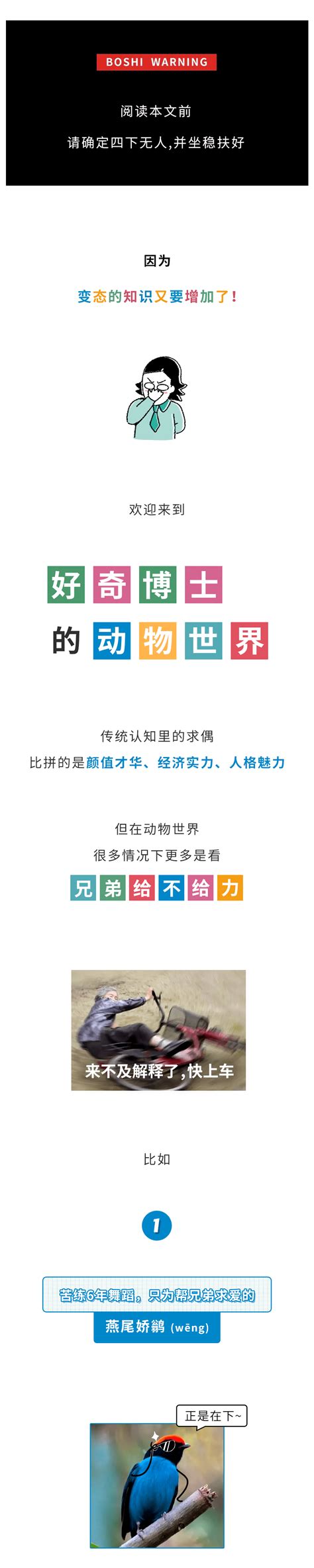 羞耻又逆天的两性知识增加了 博士 姿势