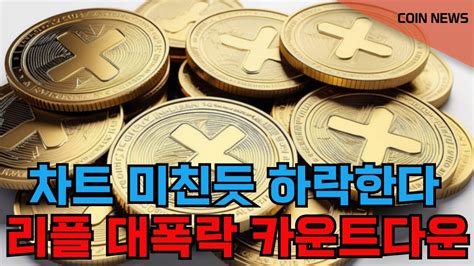 리플 Xrp 차트 미친듯 하락한다 리플 대폭락 카운트다운 Youtube