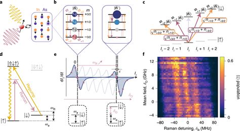 Proxy Qubit Interface To Spin States Of A Nuclear Ensemble A An