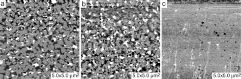 Afm Images 5 0 × 5 0 µm 2 Of The Ots Modified Sio2 Surfaces θots Download Scientific