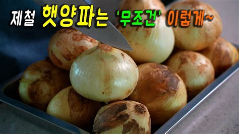 이 레시피 만든 사람 상줘야 합니다 👍👍 아삭 아삭 햇양파를 200 활용하는 맛있는 양파 요리 3가지 강쉪 Youtube